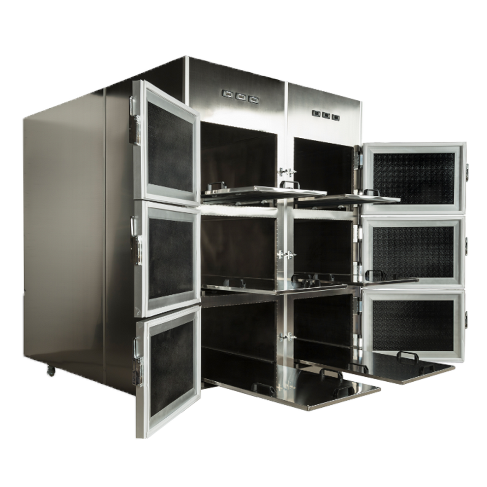 6 Body Upright Mortuary Cooler Freezer - Premium Morgue Equipment ...